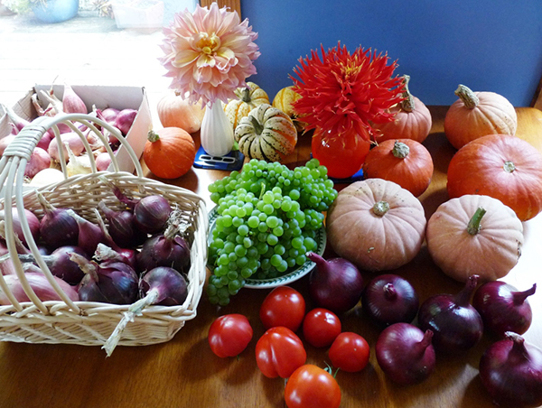 Linda Gilkeson || West Coast Gardening || Organic Year Round Gardening